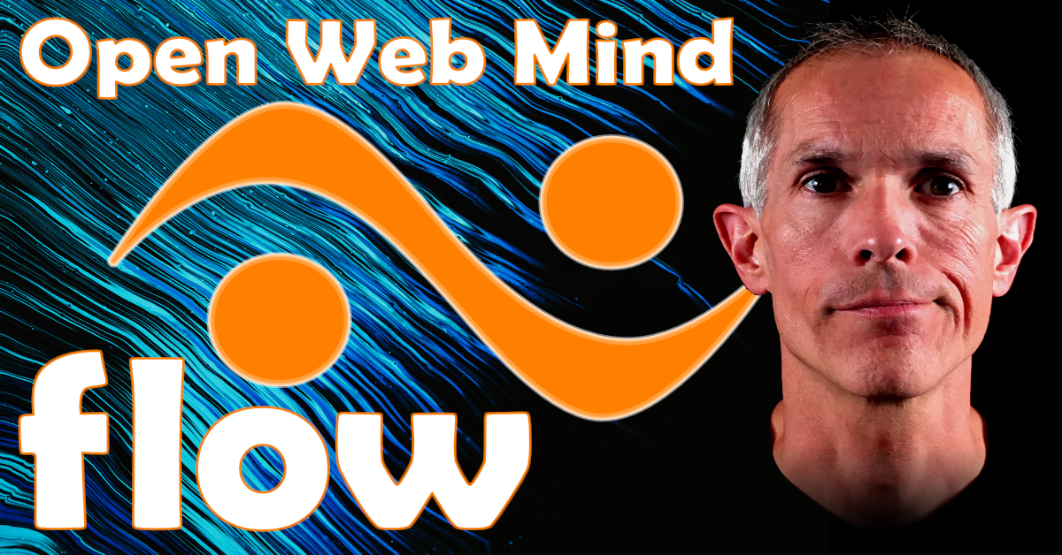 What is flow in Open Web Mind?